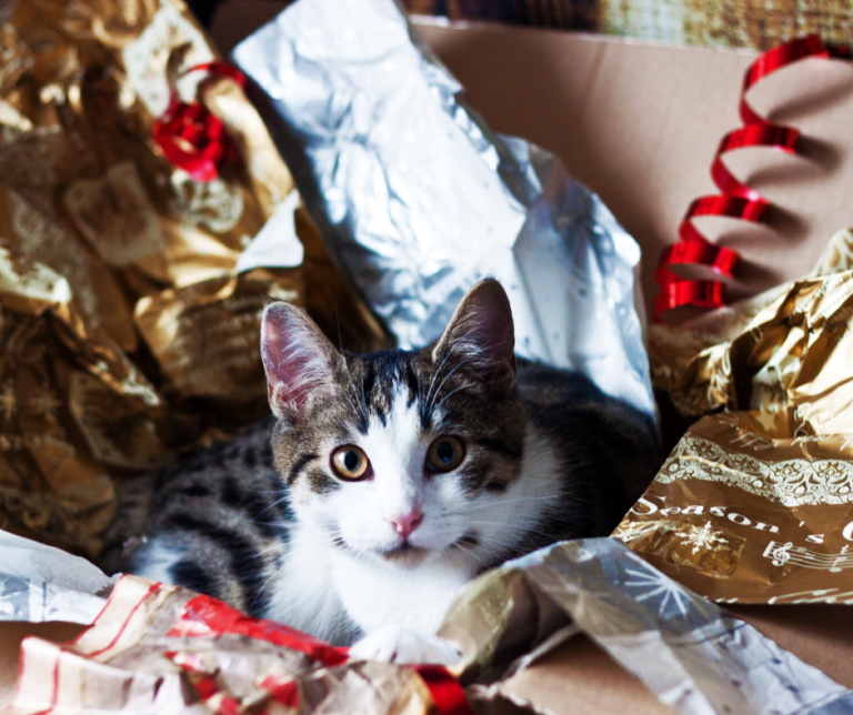 10 Awesome Uses for Leftover Wrapping Paper on Christmas Morning