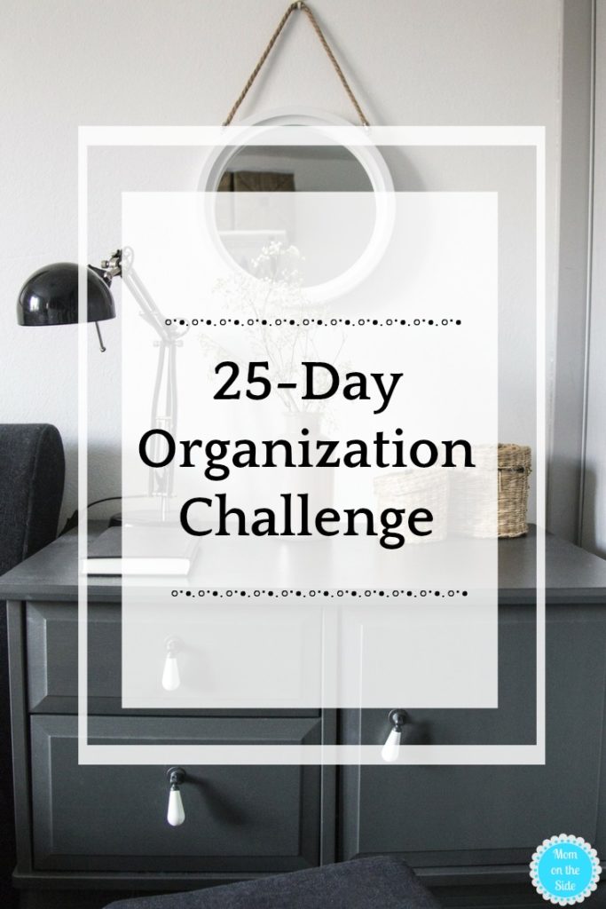25 Day Organization Challenge Makes Tidying Up a Breeze