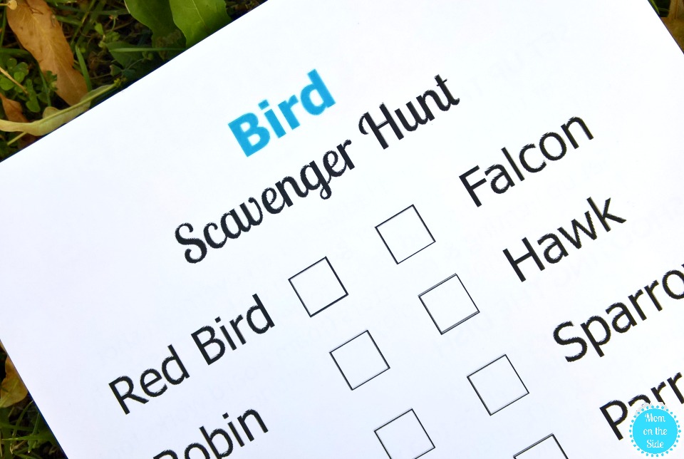 Bird Scavenger Hunt Printable for Kids | Mom on the Side