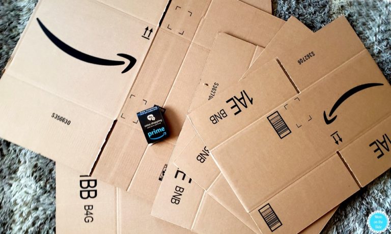 Last Minute Twins Costumes Using Amazon Smiles Boxes